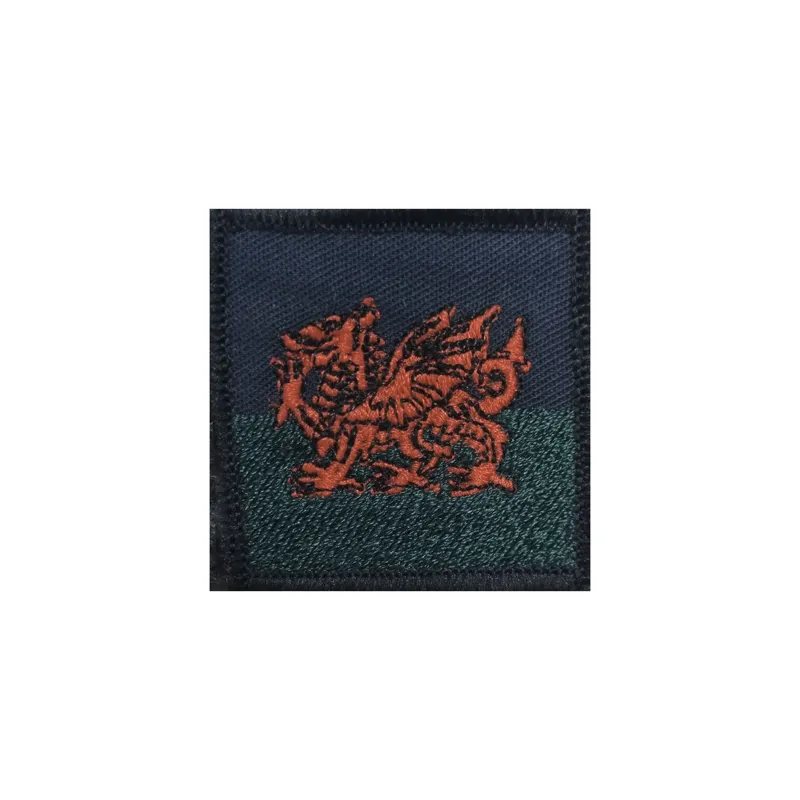 Royal Welsh HQ Staff Full Colour TRF - Flash